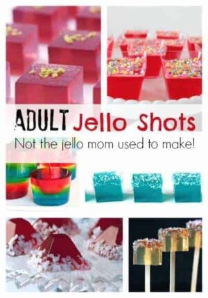 Adult Jello Shots! - Princess Pinky Girl