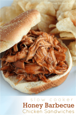 30 Days of Slow Cooker Recipes - Princess Pinky Girl