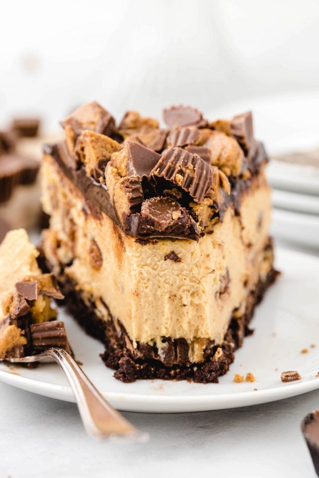 Reese's Cheesecake - Princess Pinky Girl