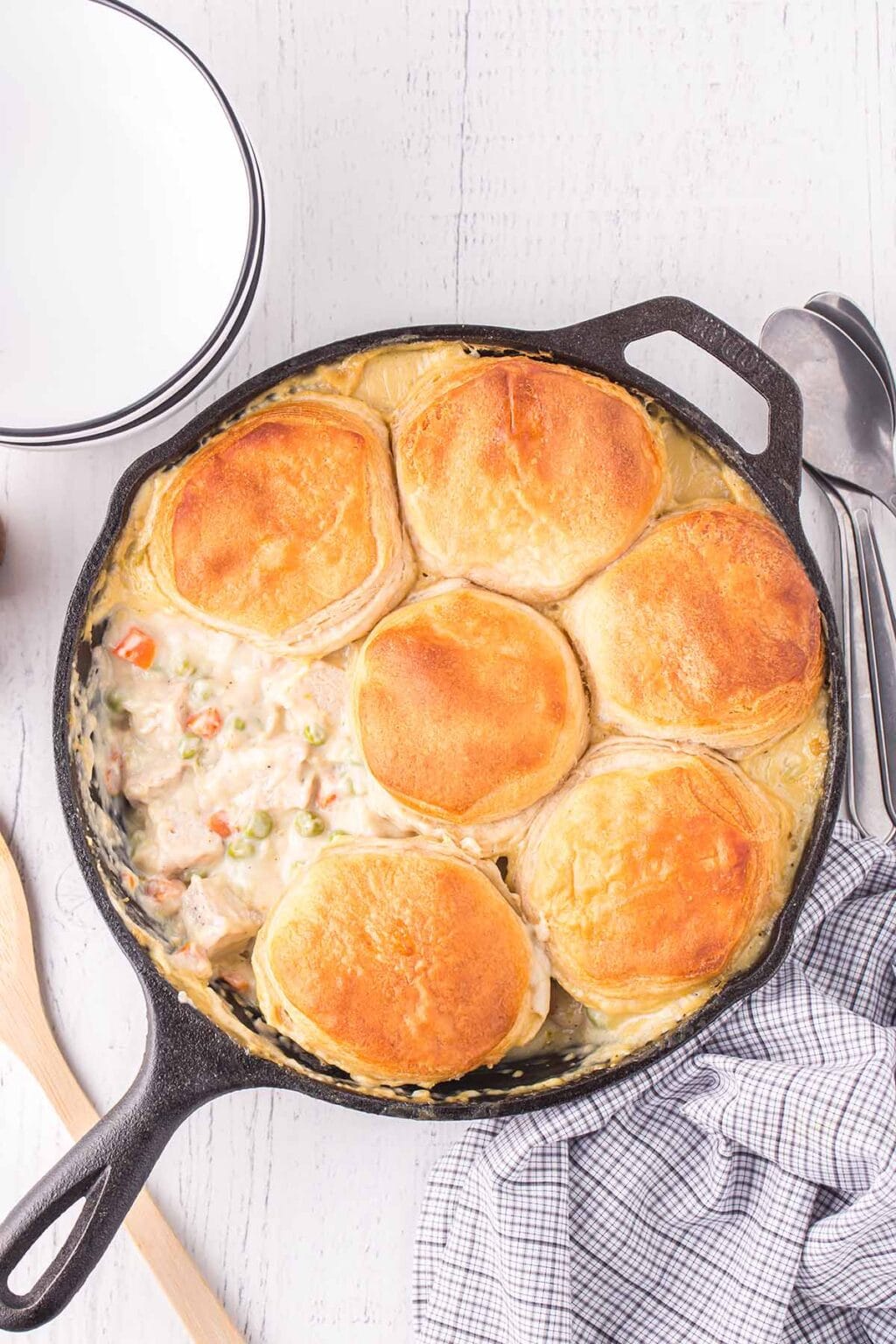 Turkey Biscuit Stew - Princess Pinky Girl