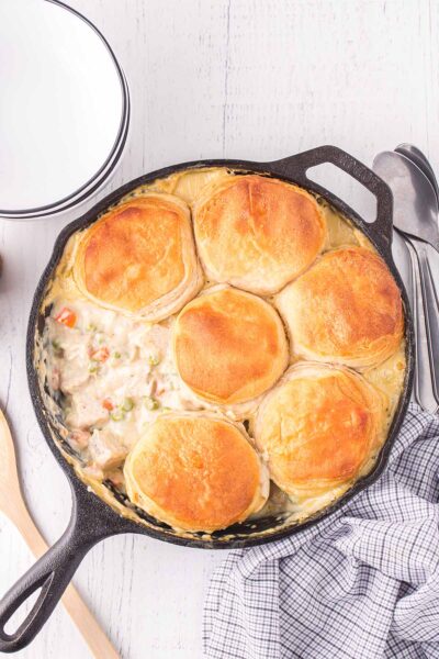 Turkey Biscuit Stew - Princess Pinky Girl