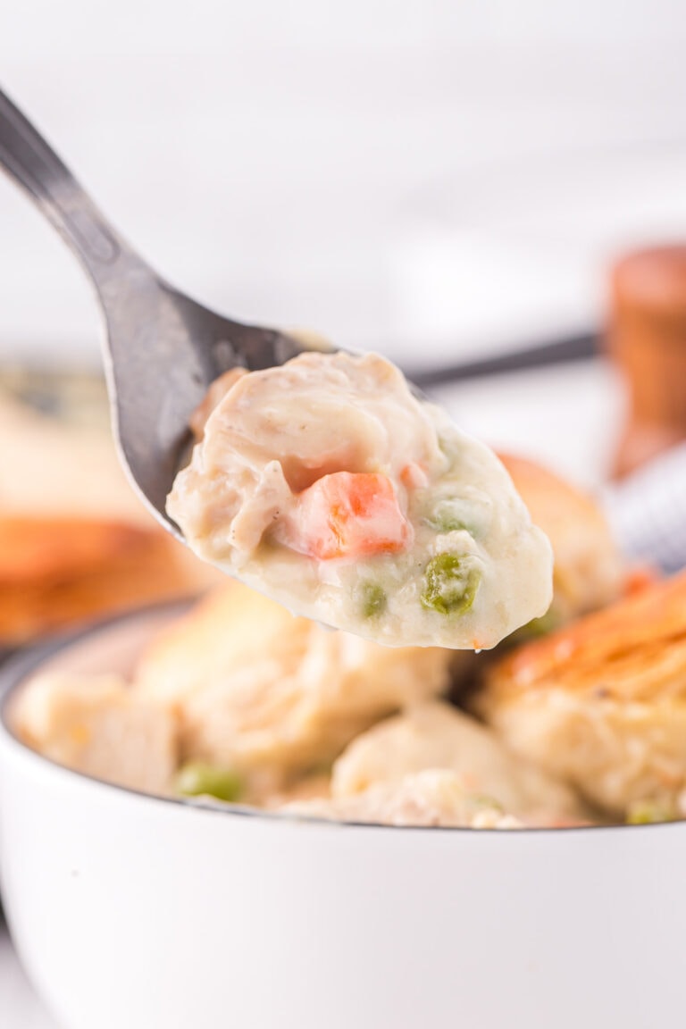 Turkey Biscuit Stew - Princess Pinky Girl