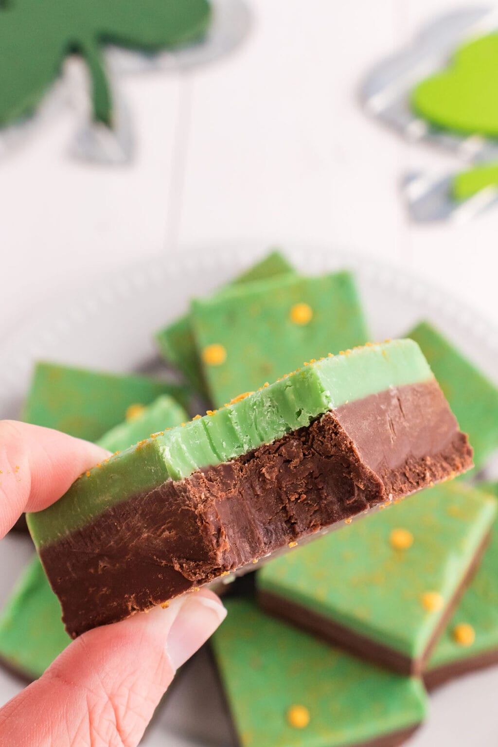 Chocolate Mint Fudge - Princess Pinky Girl