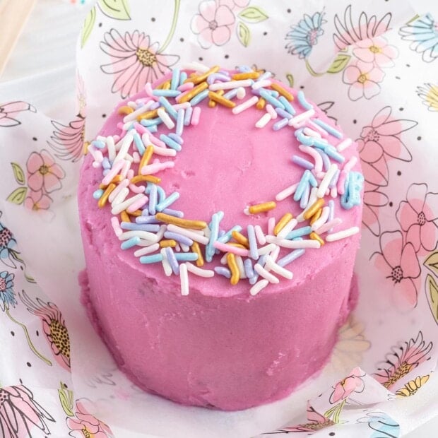 Lunch Box Cake - Princess Pinky Girl