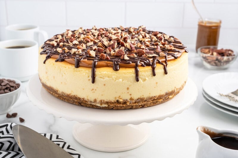 Turtle Cheesecake - Princess Pinky Girl