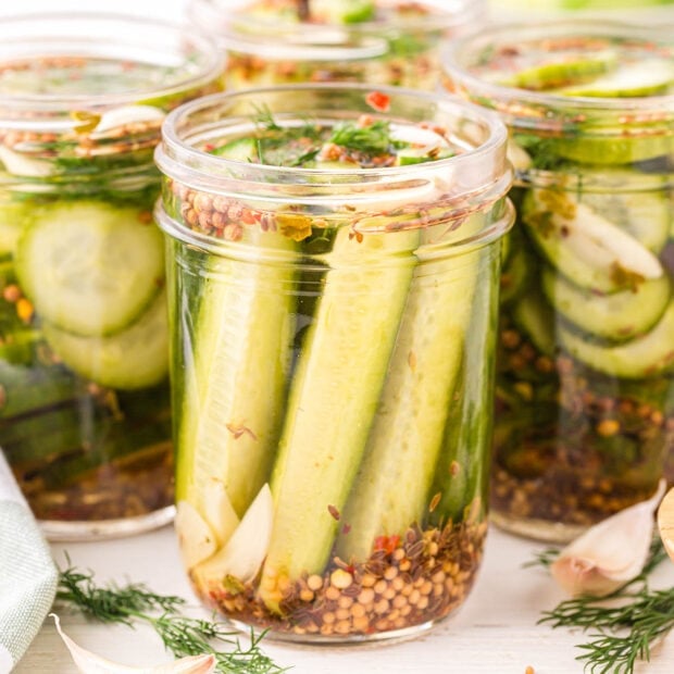 Refrigerator Dill Pickles - Princess Pinky Girl