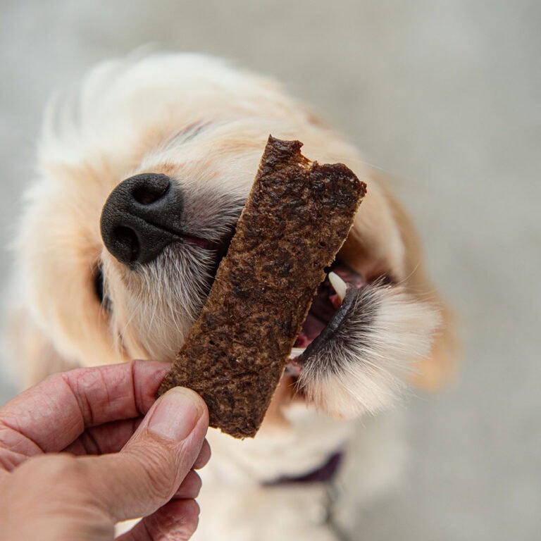 Beef Jerky for Dogs - Princess Pinky Girl