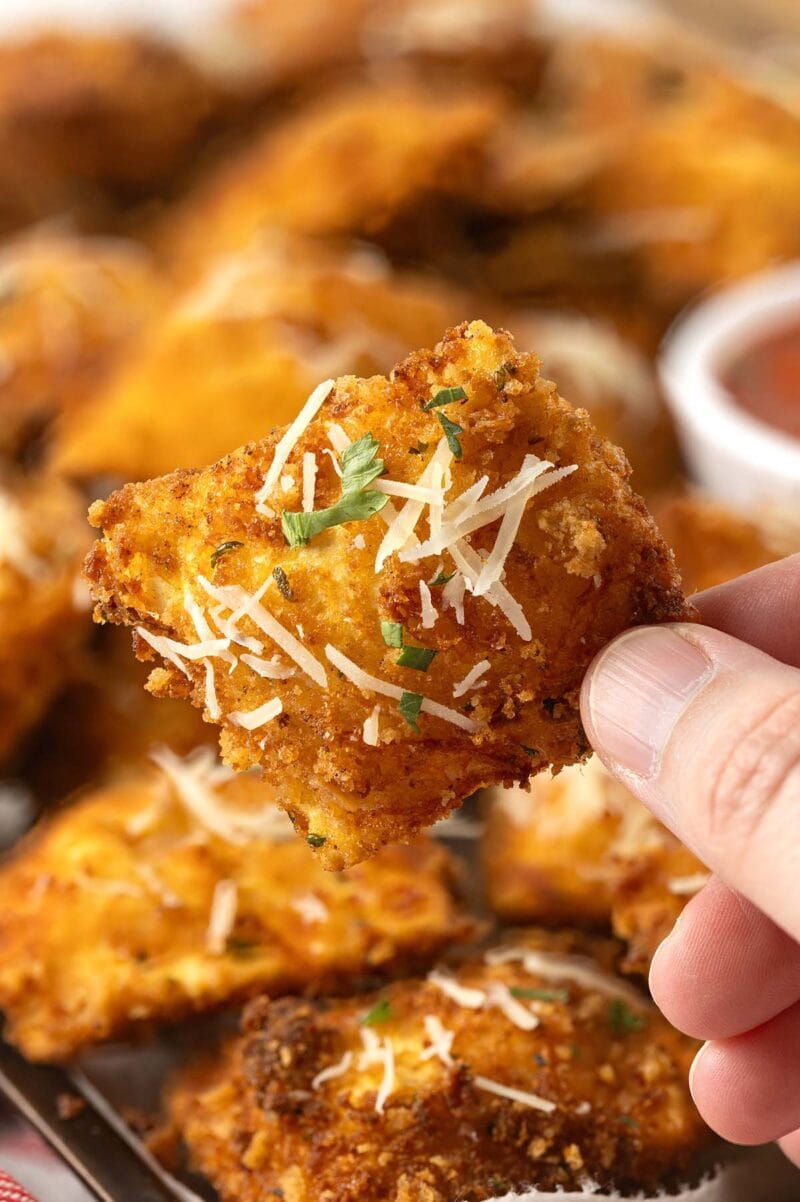 Fried Ravioli - Princess Pinky Girl